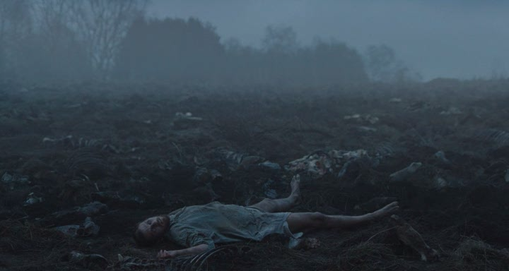 Одержимая / Дьявольская баня / Des Teufels Bad / The Devil's Bath (Северин Фиала / Severin Fiala ...